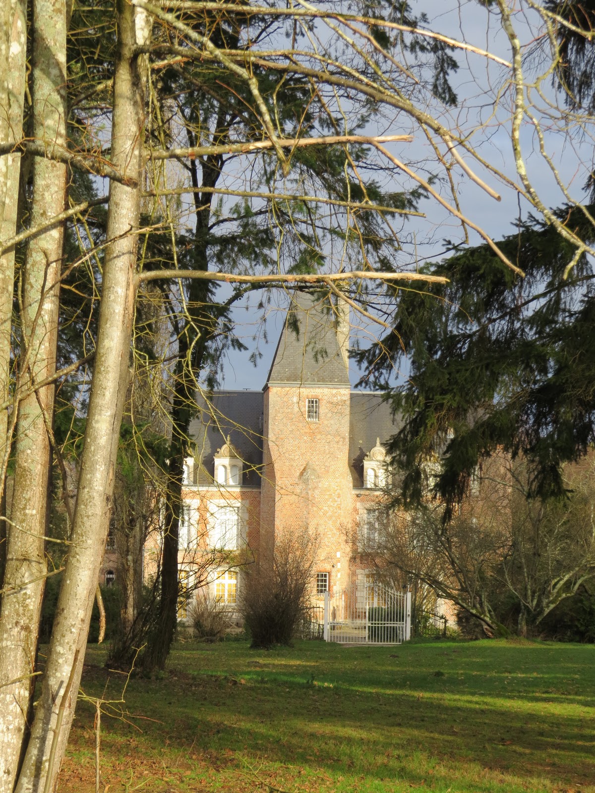 GOOD MORNING SOLOGNE: A Chaon sur la D44