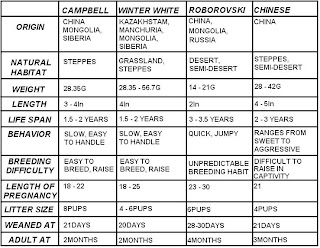 MyHamsterHouse: Hamster Guide Chart