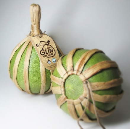 Print Job Mexico: 20 diseños de empaque innovadores y ganadores