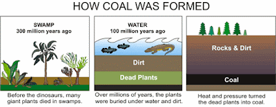 COAL BASED THERMAL POWER PLANTS: FORMATION OF COAL