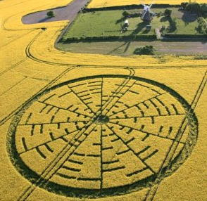 el rinoceronte de cristal: AGROGRAMAS - Crop Circles