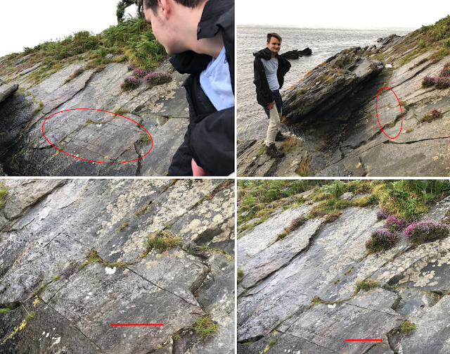 Palaeofauna: Visiting for myself the fossil trackways of Arthropleura ...