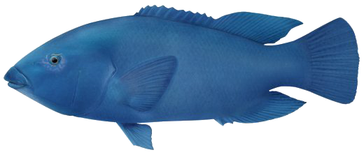 EL RINCON DE IMAGENES: abril 2013