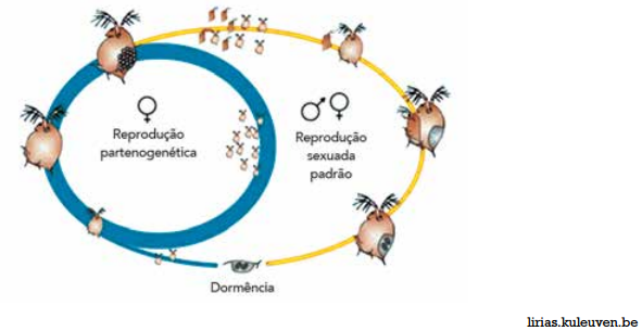 Questões de Vestibular: Biologia, Química e Ciências da Natureza ...