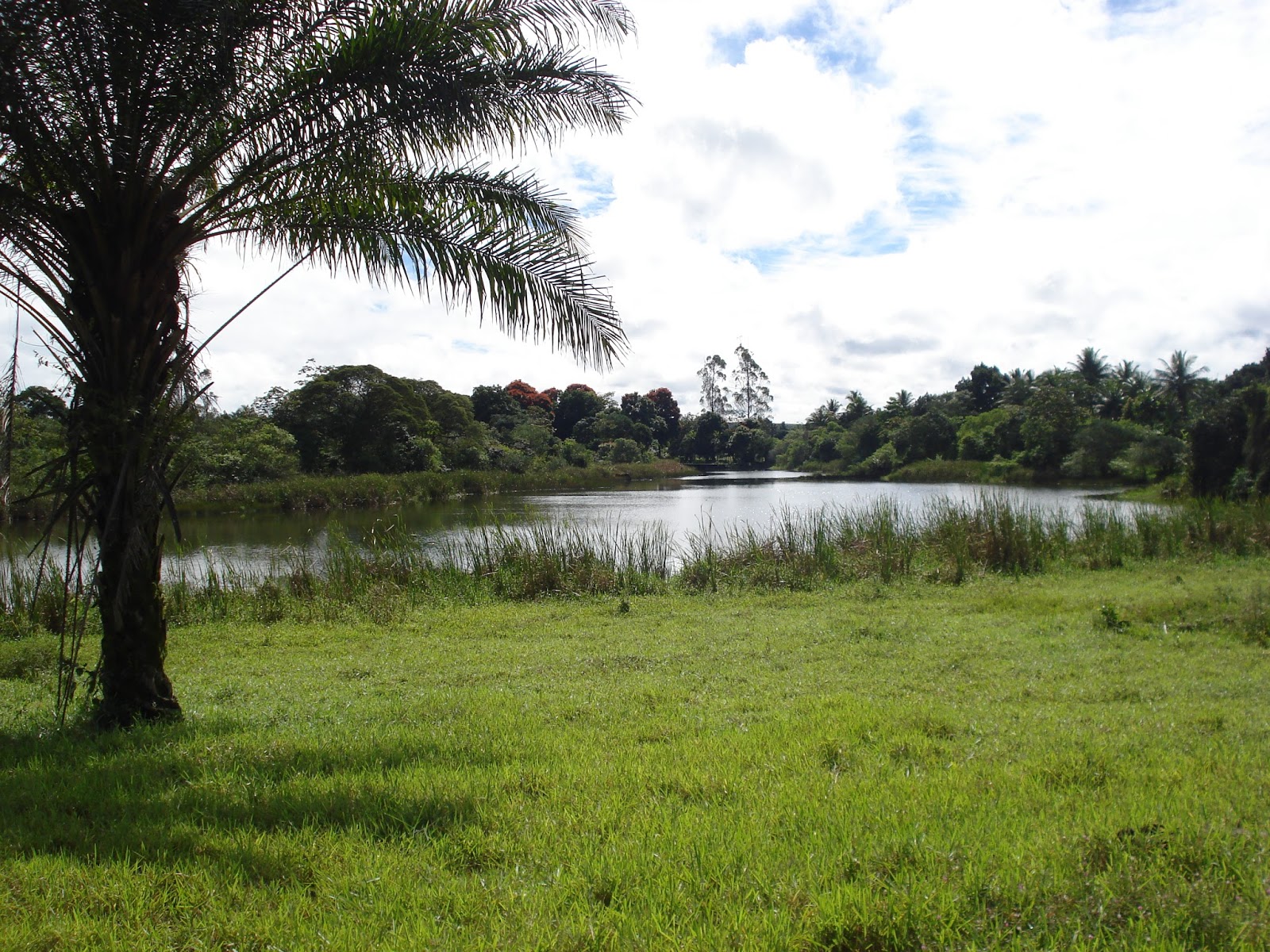 FADES: RIOS E LAGOAS DE ALAGOINHAS-BA E REGIÃO