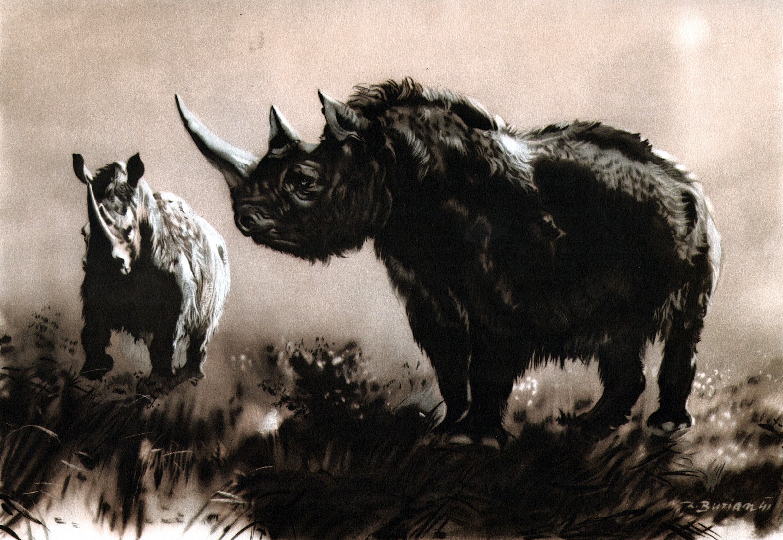Zdeněk Burian: Woolly Rhinoceros