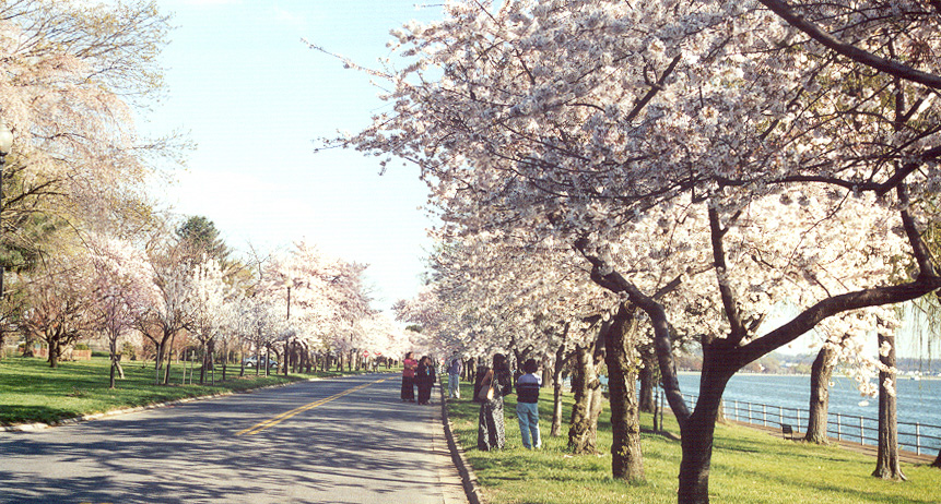 Patrimonio de la Humanidad: Parques y jardines de las capitales.