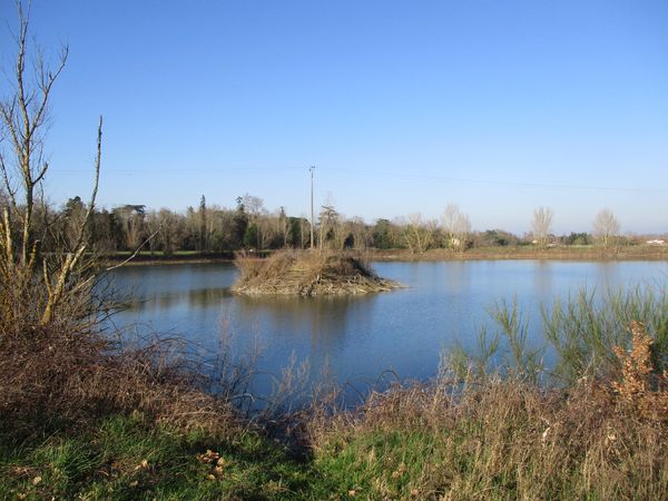 Sud-ouest Toulousain Randonnées: LONGAGES : Lac de la Linde