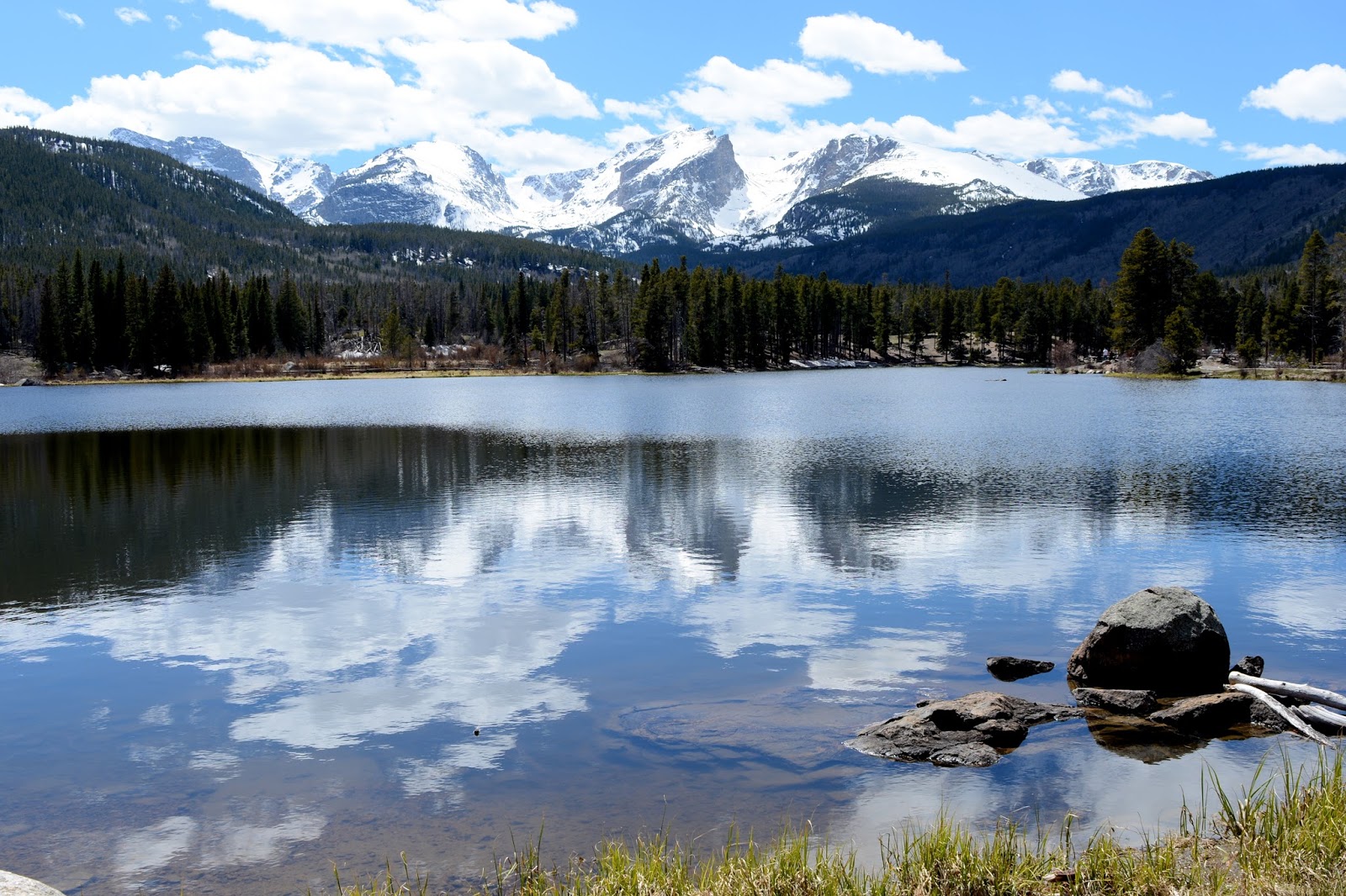 Mille Fiori Favoriti: Spring in Rocky Mountain National Park