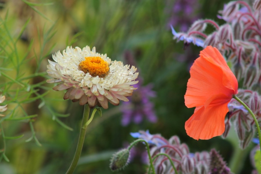 Exploring Donegal, Leitrim, Roscommon and Fermanagh - Purity Belle ...