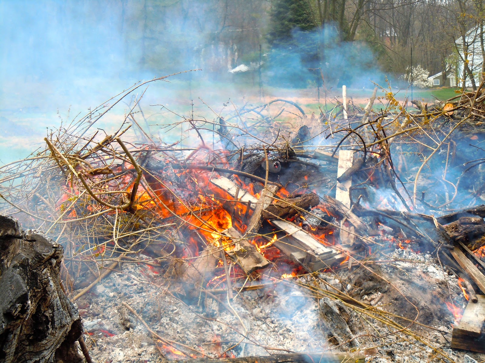 The Happy Nomads : Fire Ninjas