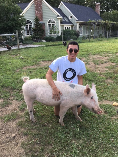 Dispatch from the Digital Health Frontier: Building Unity Farm ...