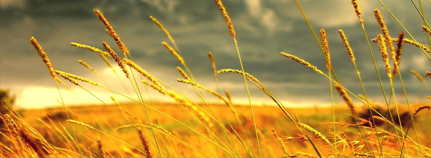 5geek: As melhores Capas para Facebook de todos os gostos