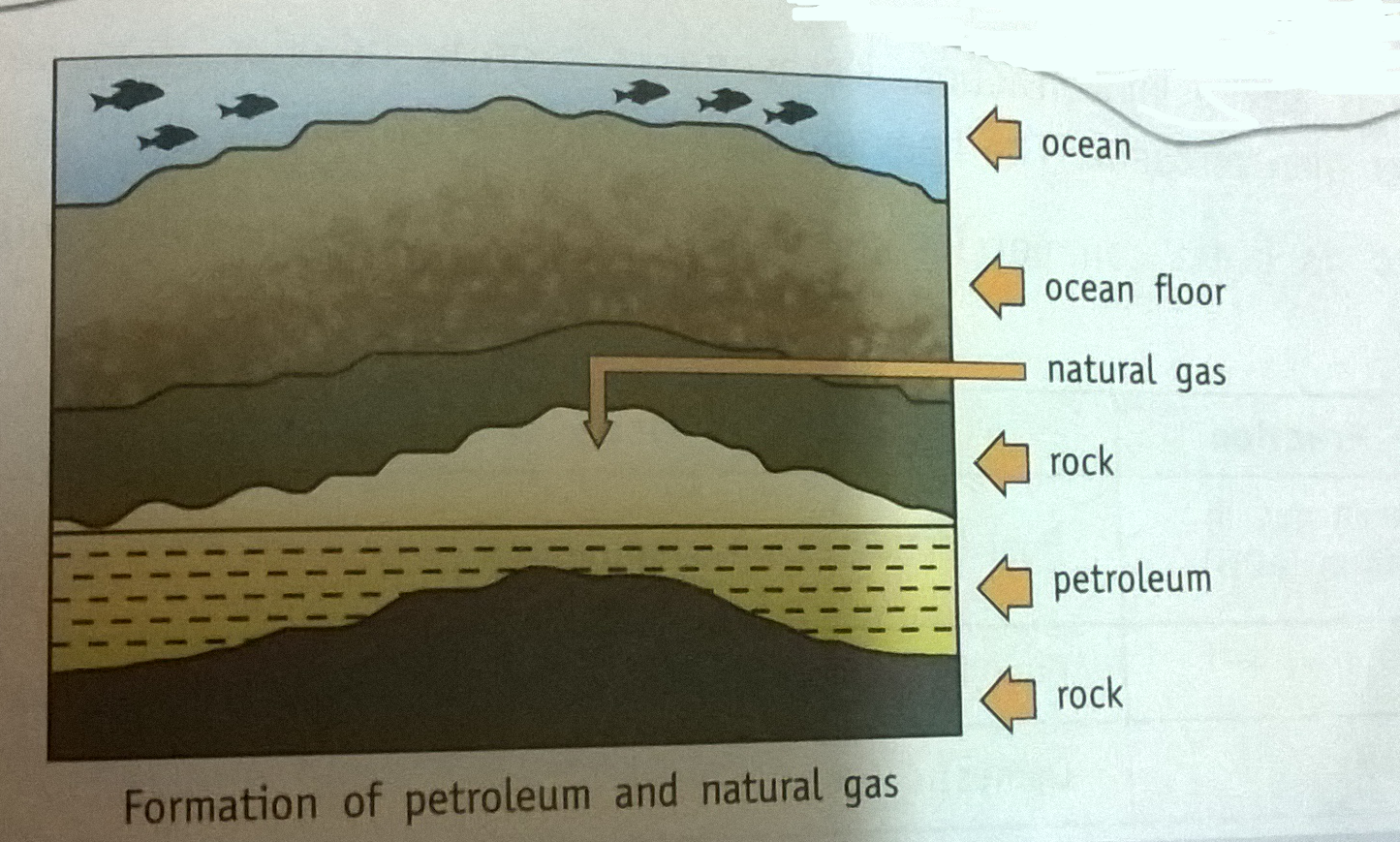 CBSE - Grade 8: Coal and petroleum