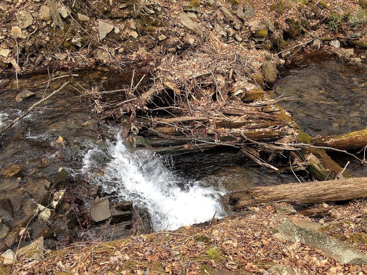 Central Pennsylvania History: Eddy Lick Splash Dam (Centre County)