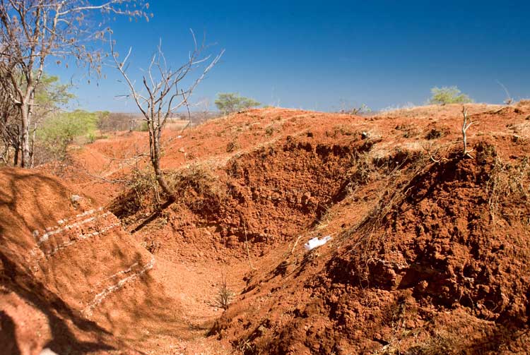Green Teck - Juiz de Fora: ÁREAS DEGRADADAS