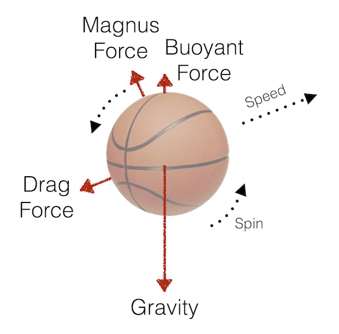 Samantha Jeffery Biomechanics Blog - Netball shot