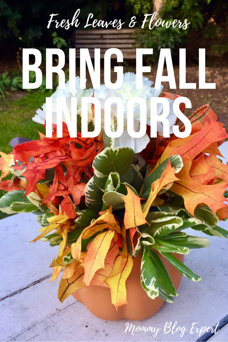 MOMMY BLOG EXPERT: Party Animal Fall Halloween Dog Cat Bouquets