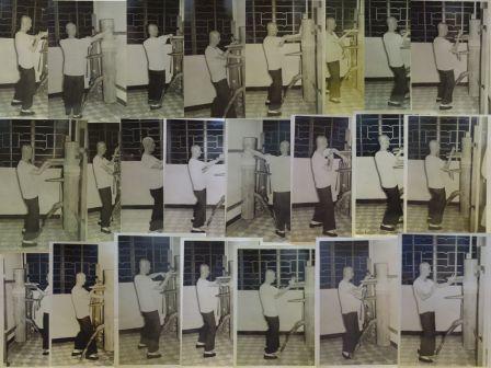 Kung Fu Fever: Ip Man Wooden Dummy Practice