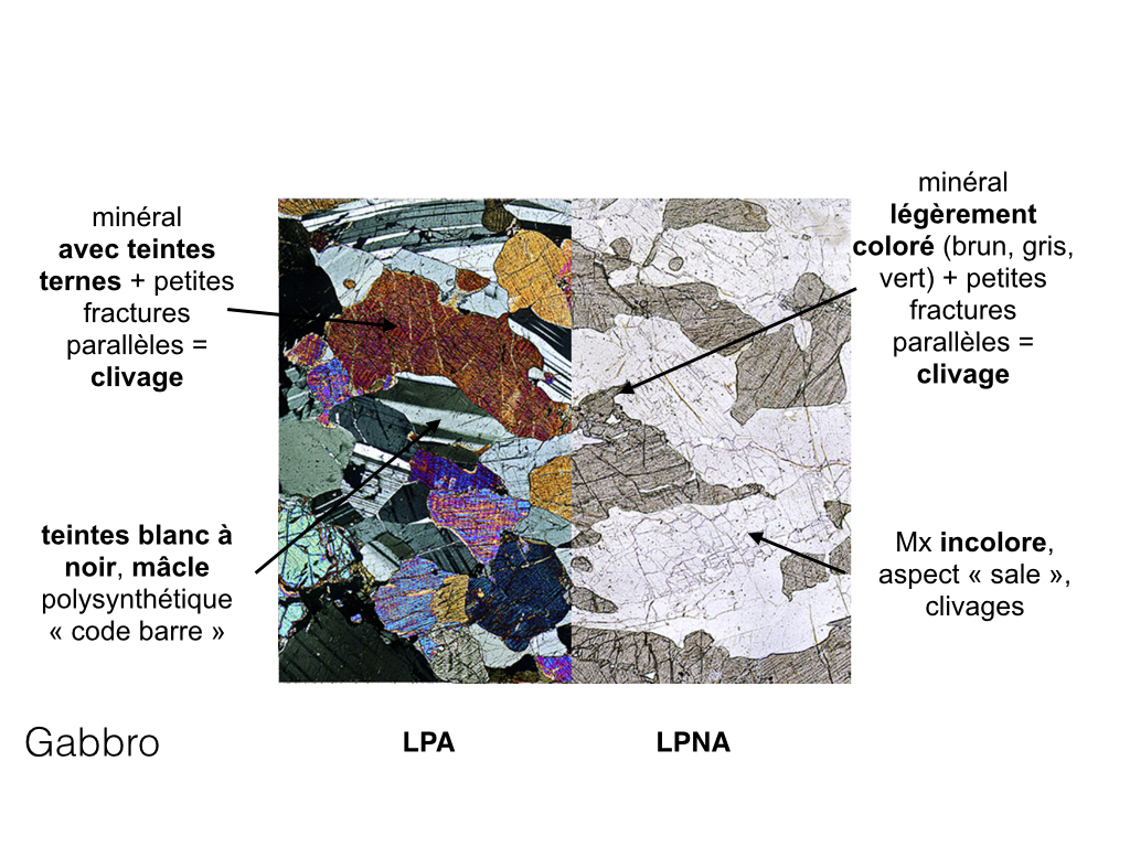 svtOlycée: Le gabbro : une roche magmatique plutonique de la croûte ...