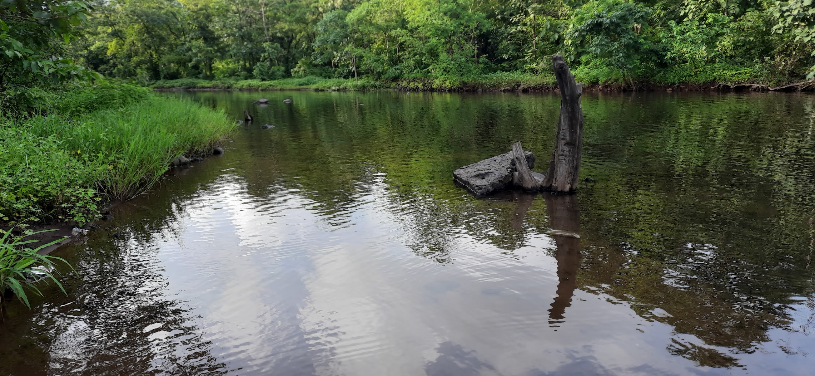 Sharad Pandhare's Educational Blog: Incredible Nature