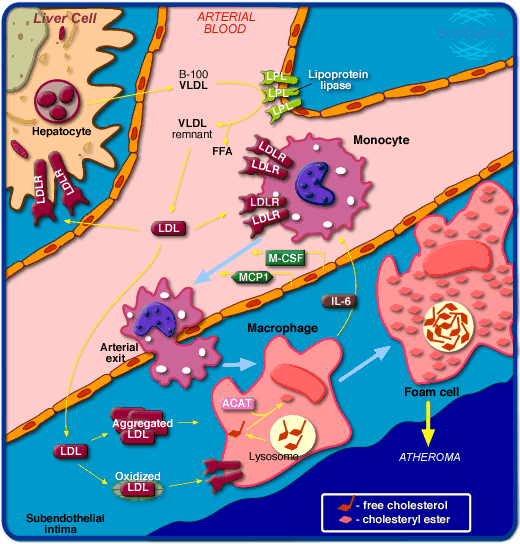 World of Biochemistry (blog about biochemistry)