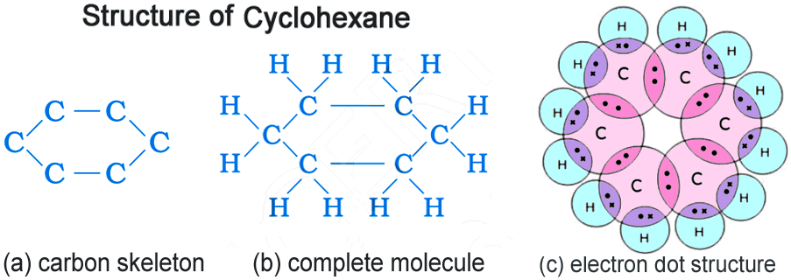 Chapter 4: Carbon and its Compounds | CBSE Class 10 | NCERT Notes ...