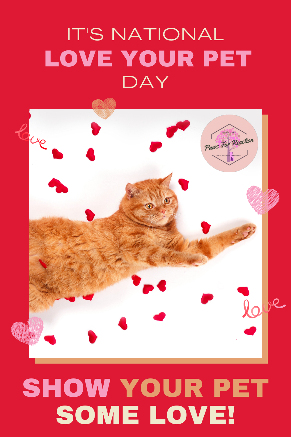 February 20 is National Love Your Pet Day: How to show your pet some ...