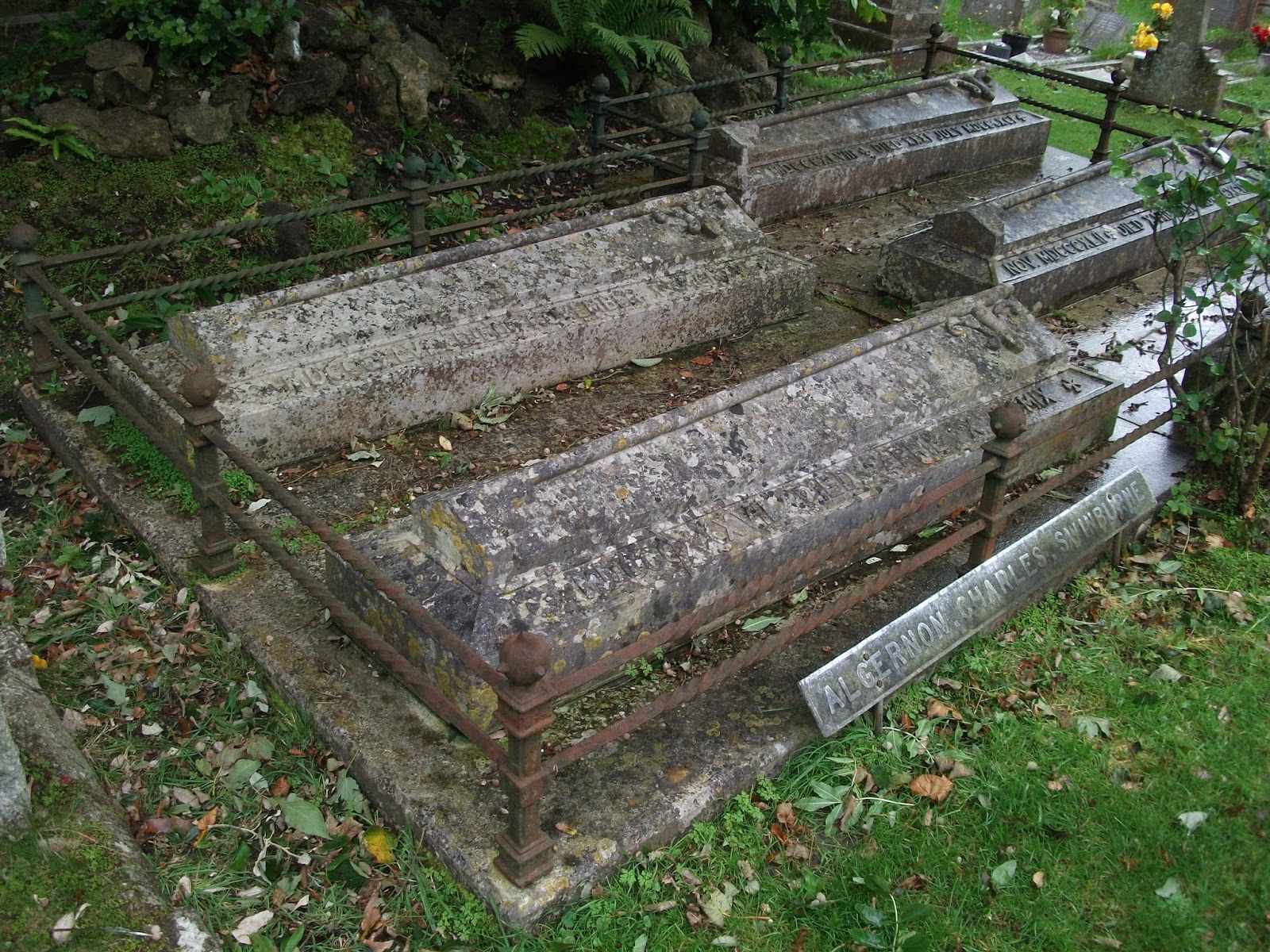 Ghost Blooms: SEARCHING FOR SWINBURNE