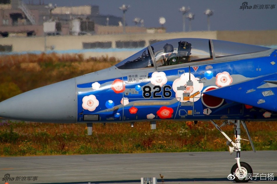 Japan Air Self-Defense Force F15 fighter paint scheme | Errymath