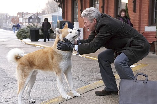 The random world of everbluec: Movie Review: Hachi: A Dog's Tale 2009