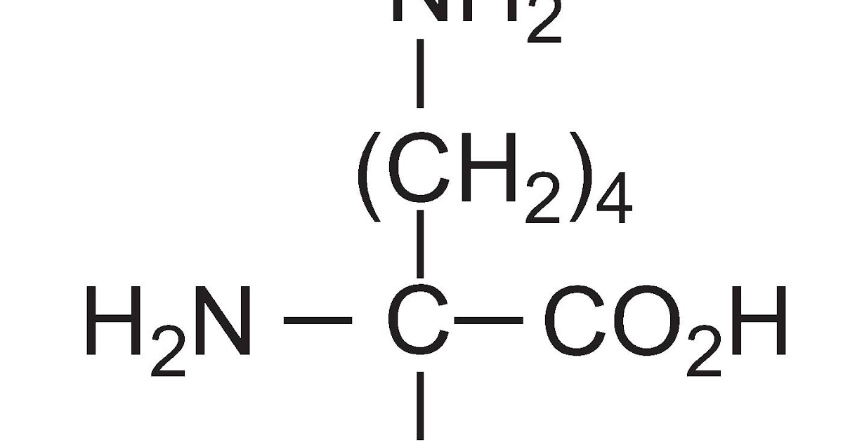 Vai trò của Lysine với sức khỏe - THÔNG TIN THUỐC