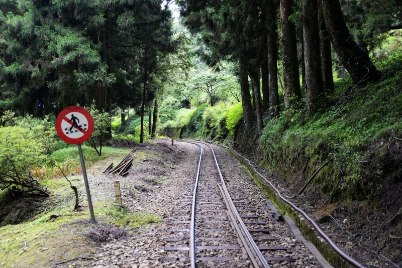 Endless Traveling Map: The Alishan Forest Railway, Taiwan