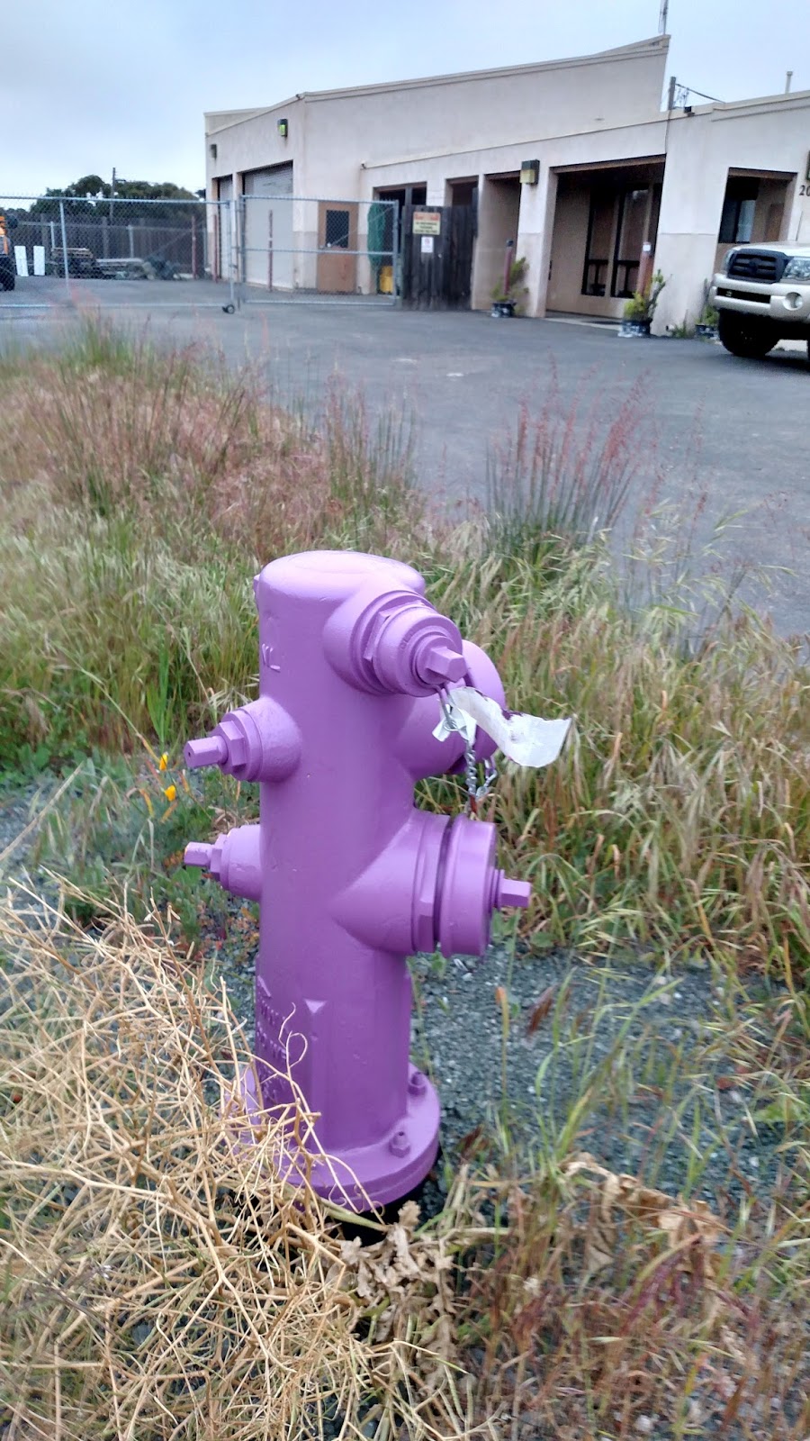 Los Osos Sewer Saga: Purple Pipe Hydrant
