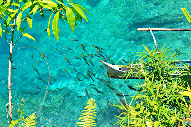 Enchanted River: Unearthly Basin of the Deep Blue | Surigao del Sur ...