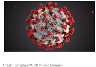 Avian Flu Diary: Study: SARS-CoV-2 D614G Variant Exhibits Efficient ...