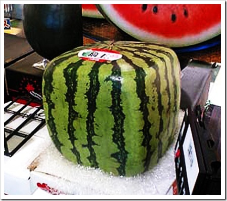 An Evening Meal: Watermelon