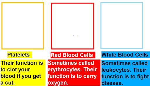 Year 6: Science Lesson 1 Identifying the Different Components of Blood.