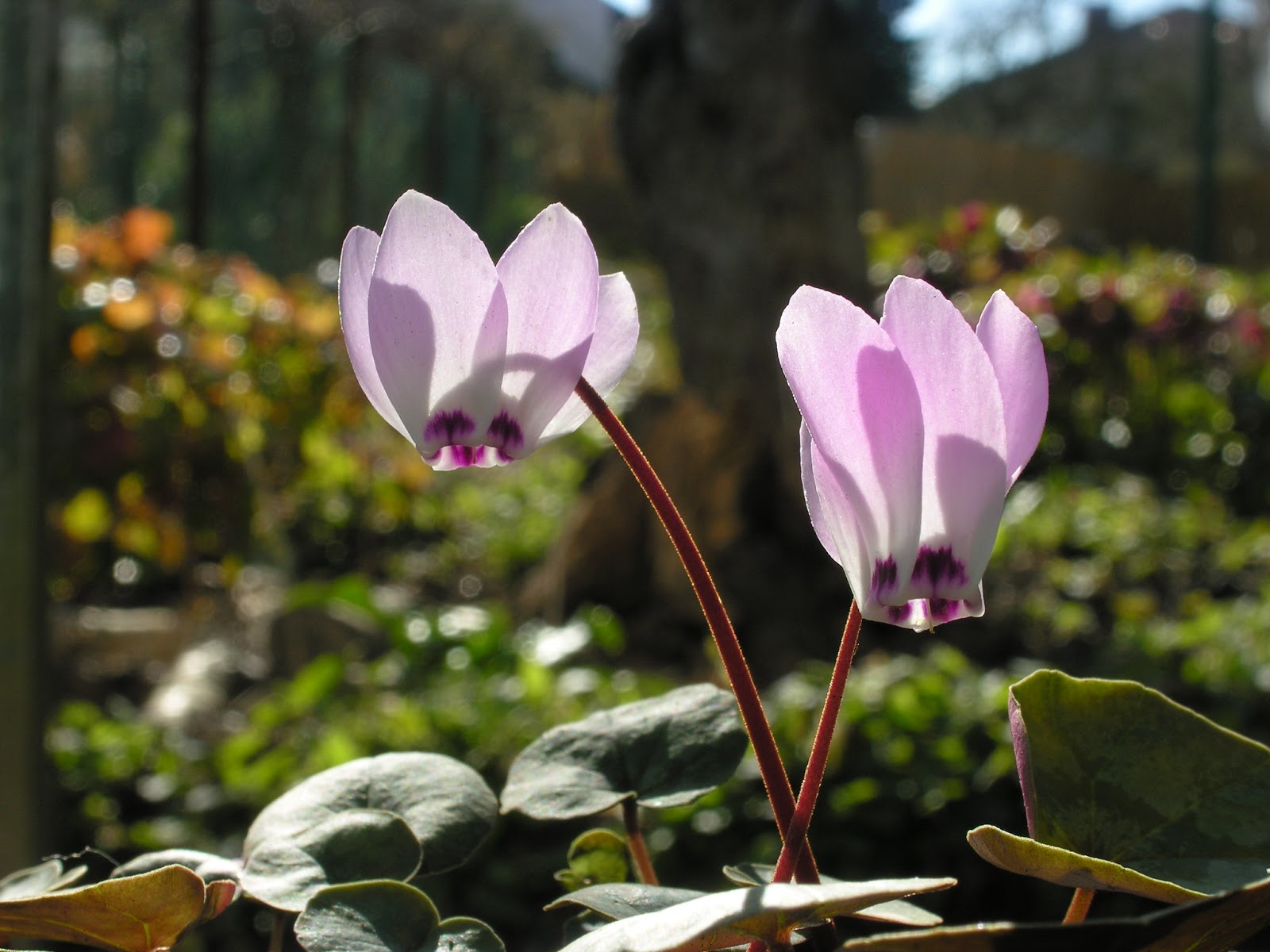 09/07/20 | Travaldo's blog