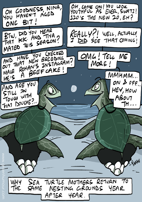 Green Humour: Sea Turtle Nesting