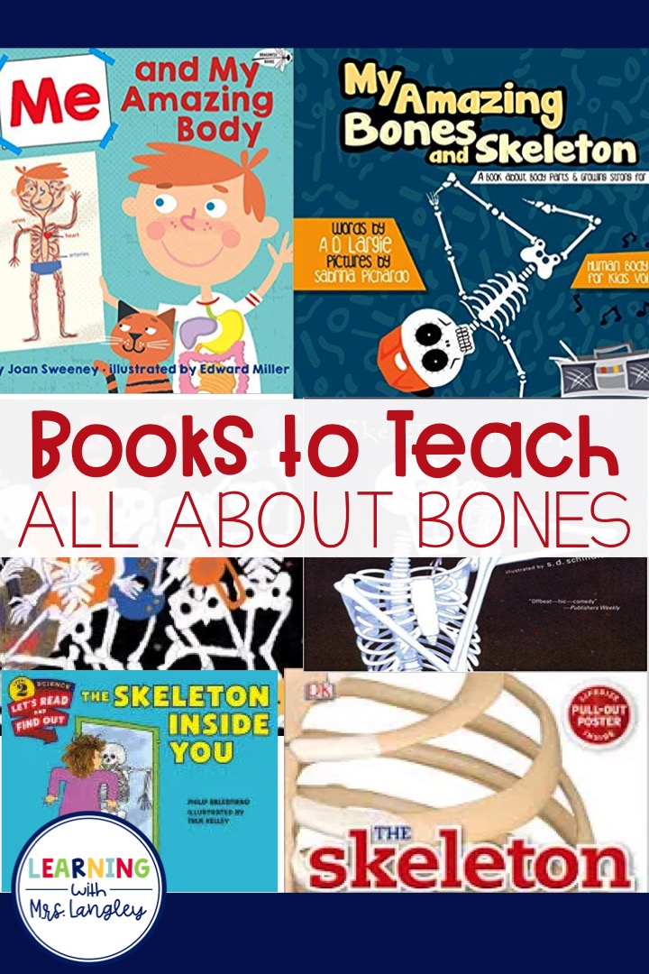 My favorite books about SKELETONS | Learning with Mrs. Langley