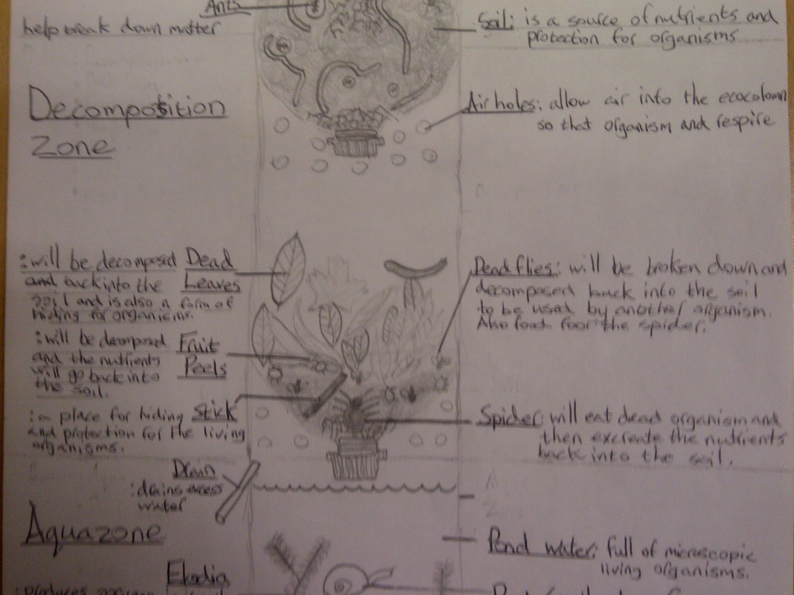 Jean Frans George Eco Column: Annotated Diagram