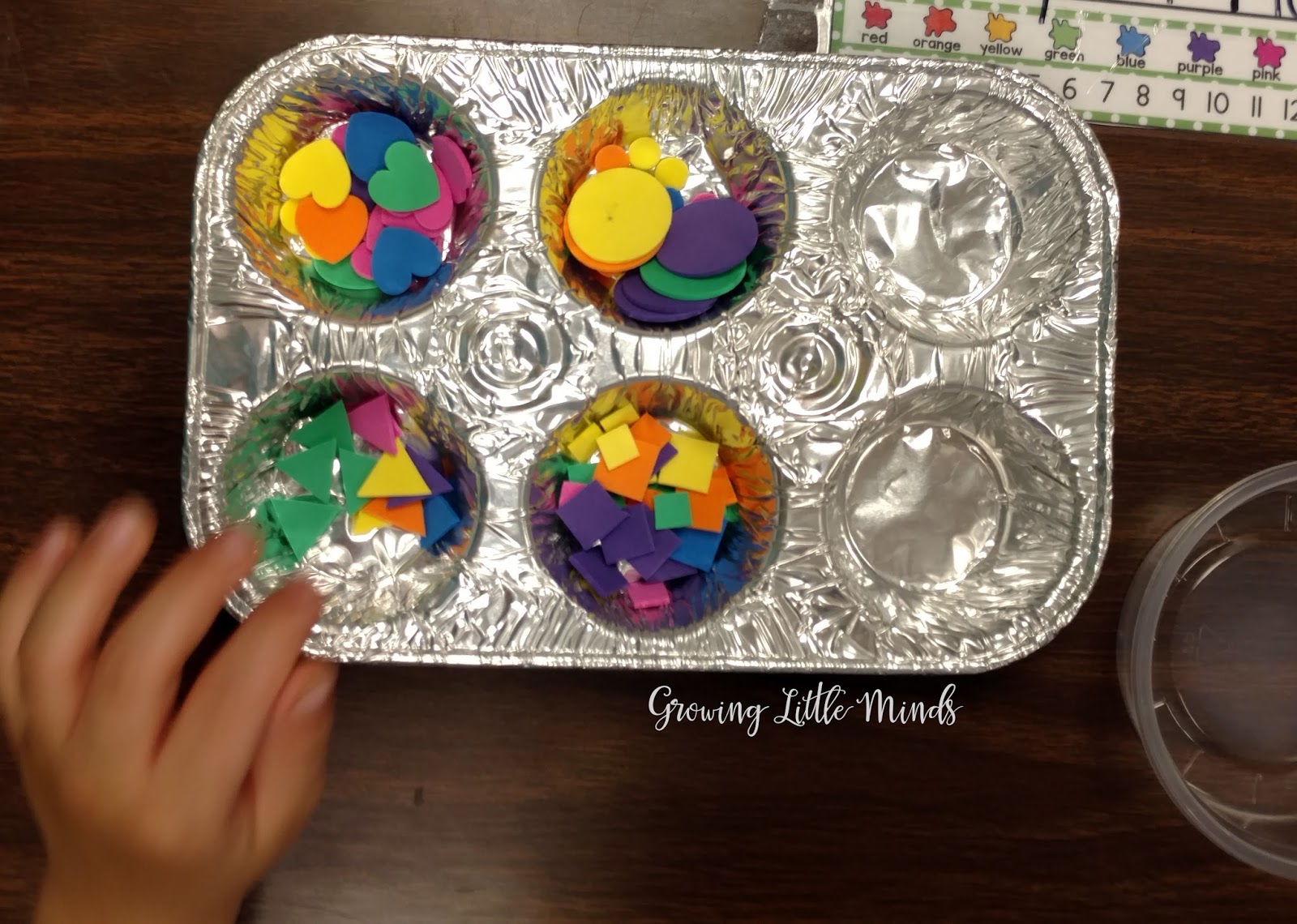 Growing Little Minds: Categorizing and Sorting in Kindergarten