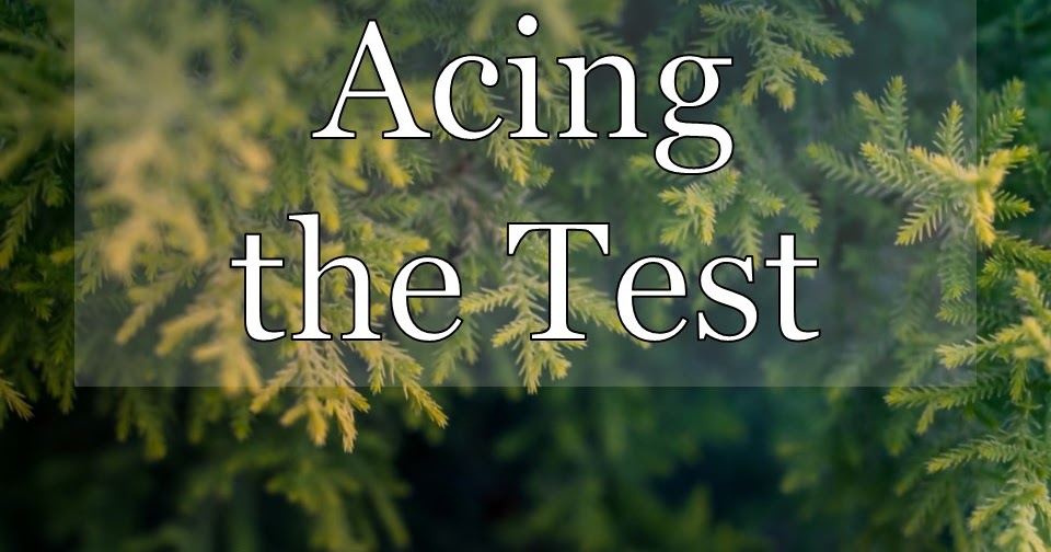 "Acing the Test" [Matt's Messages] ~ Matt Mitchell - Hot Orthodoxy