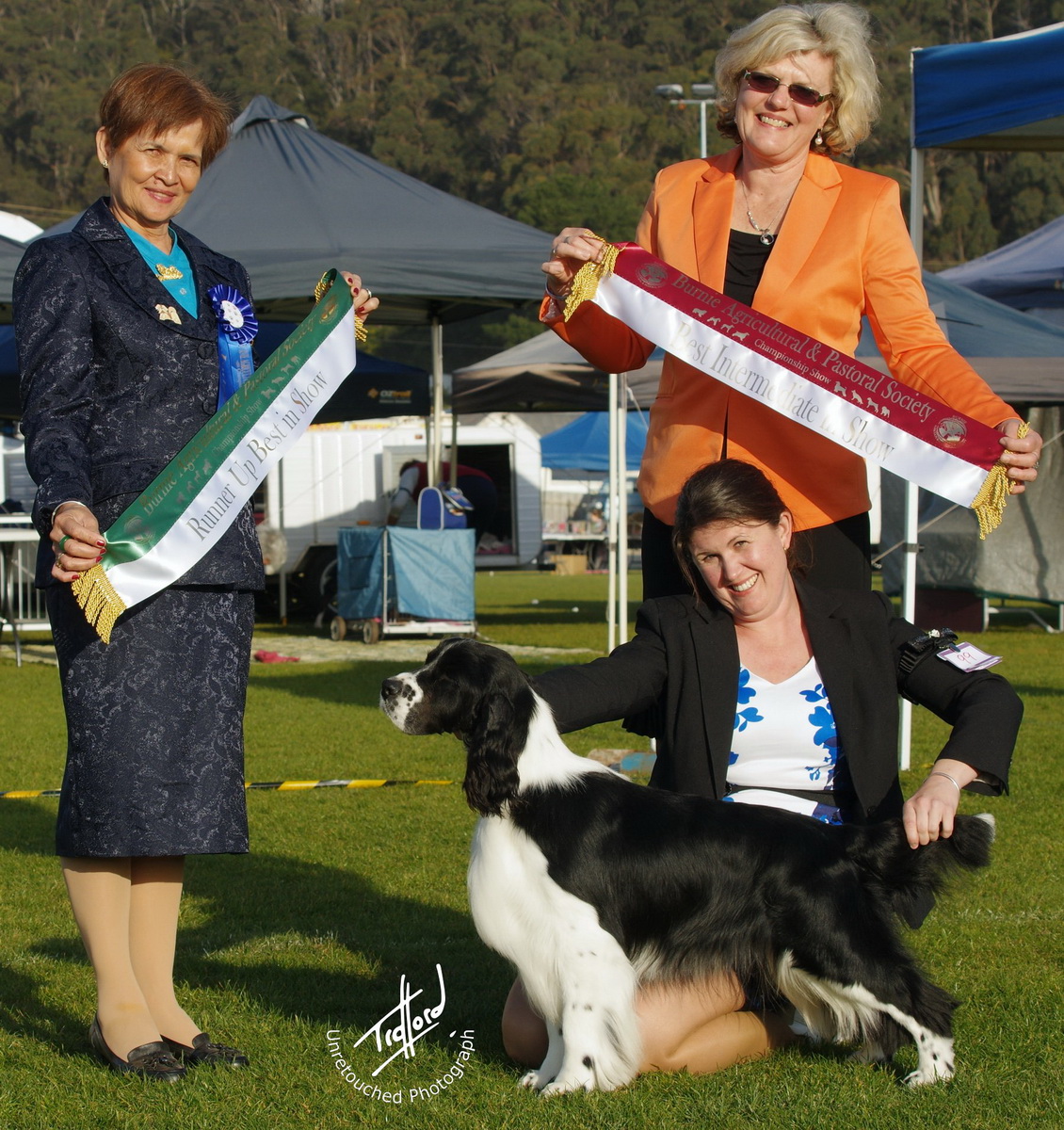 TraffordPhotos - Australian Dog Show Photos: BURNIE AGRICULTURAL ...