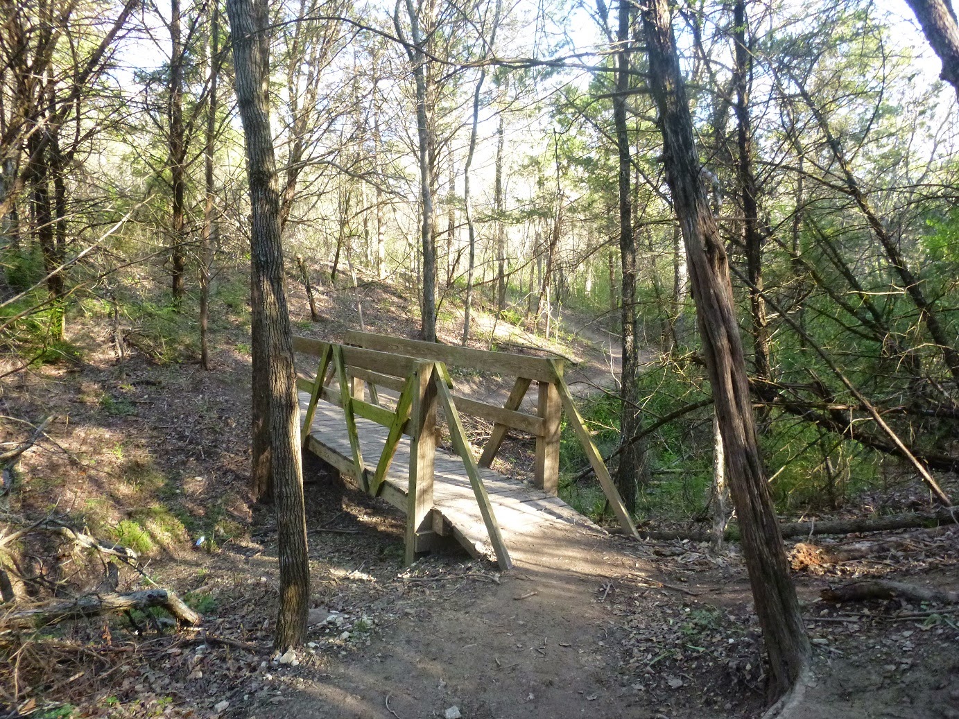 Running Myself into a Coma: Running towards the Mountains at Cedar ...