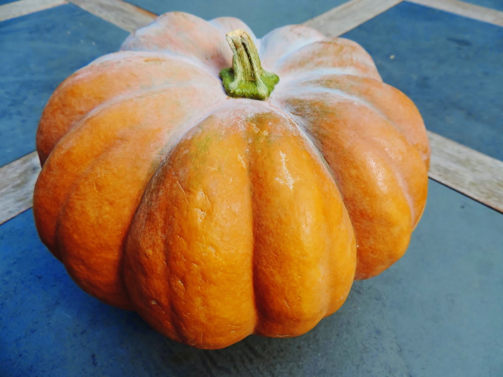 Krystina cuisine: Gâteau au Chocolat & Potiron