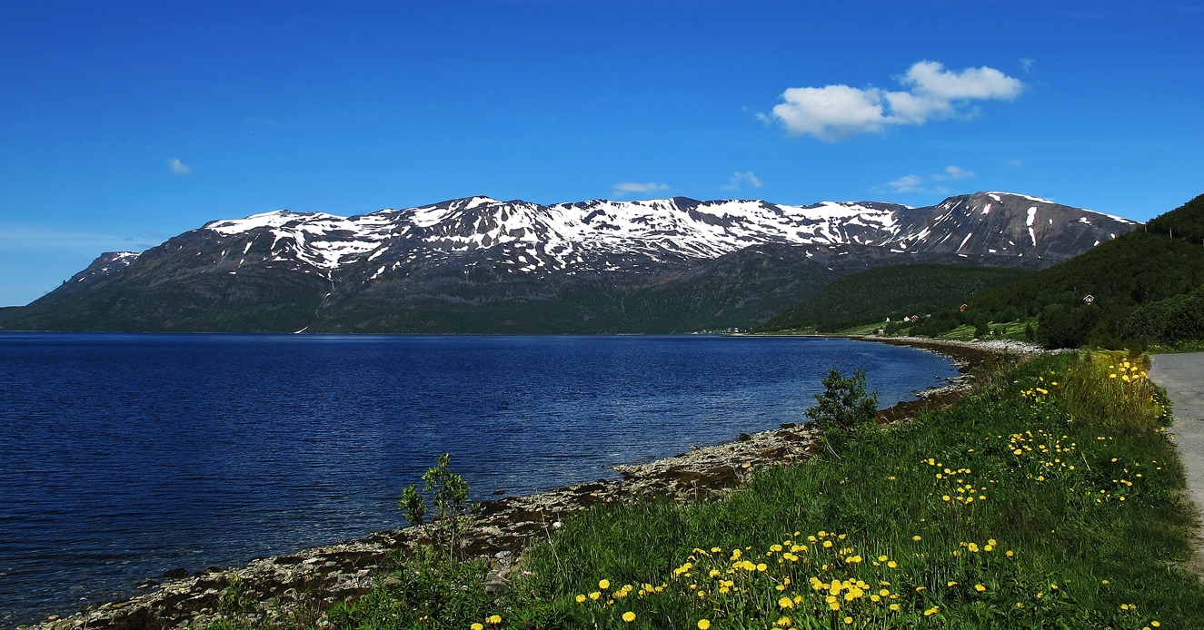 Nordis's NaturFoto: Bilder fra Nord Norge : nordre del. Del 2