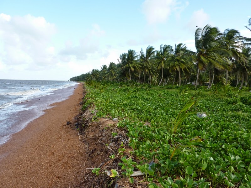 Guarapa Turística: Las mejores playas de América del Sur (Por países)