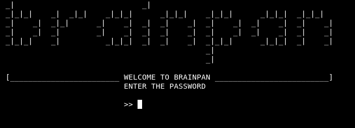JagSkap: BRAINPAN - Buffer Overflow